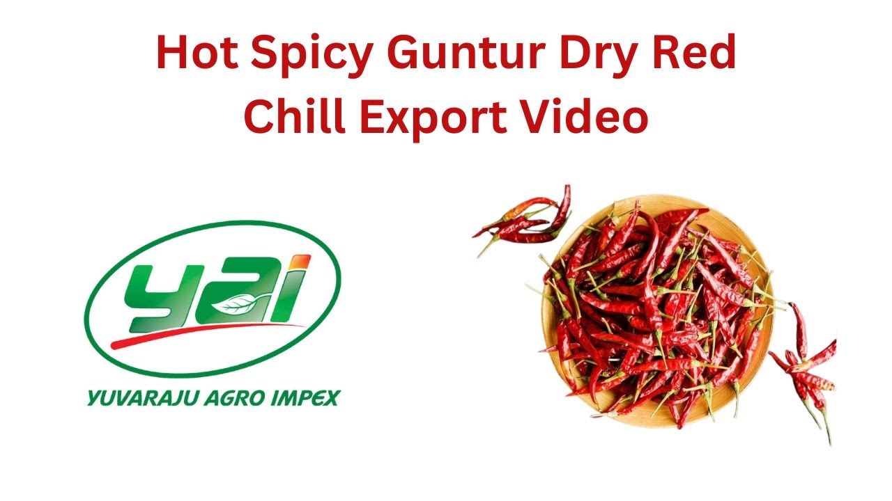 Indian Export Quality Guntur Dry Red Chilli Export - Video | Yuvaraju ...