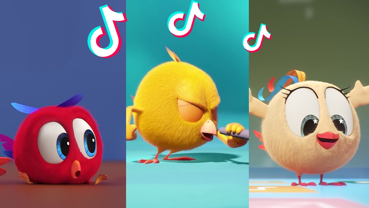 SHORTS CHICKY | MA I A HI 🎵 | Where's Chicky #shorts - YouTube