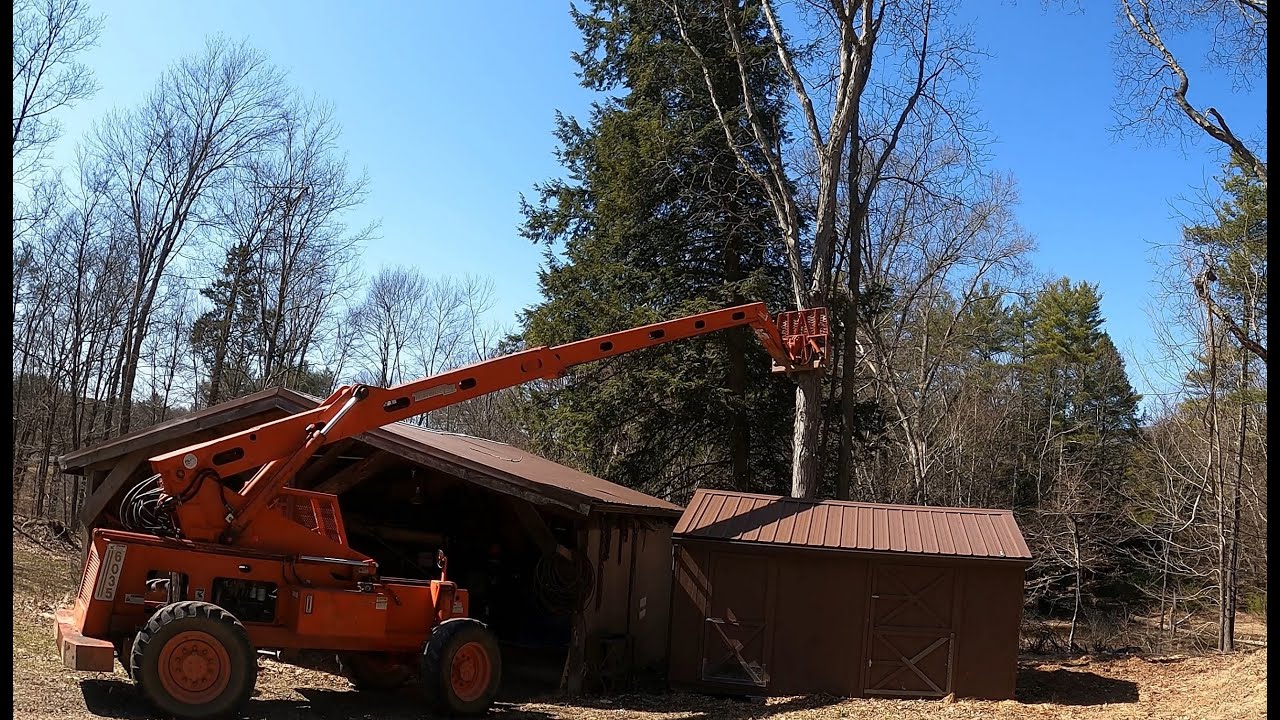 Pushing a tree down with a Telehandler - YouTube