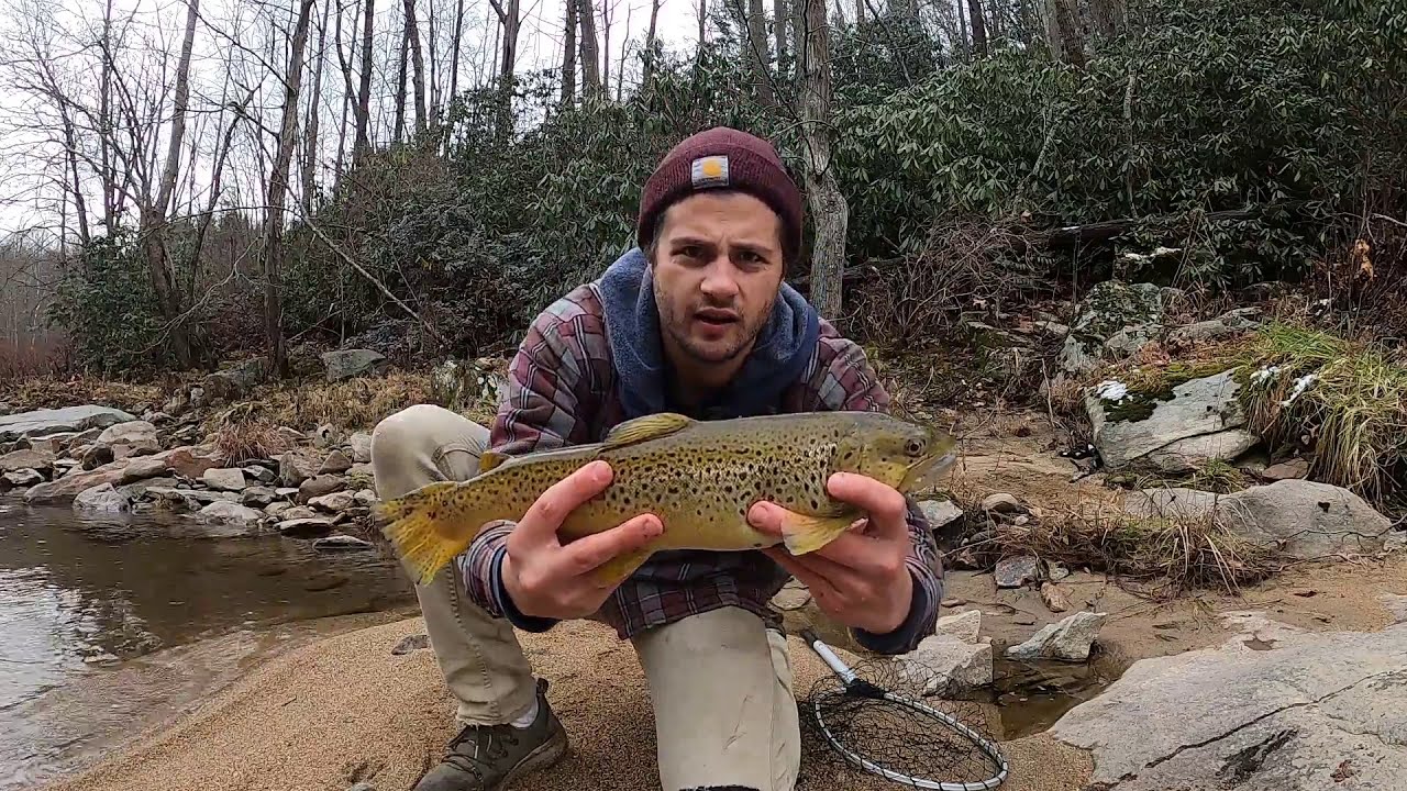 a GREAT day of trout fishing. - YouTube