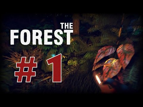 The Forest: Multiplayer - Bölüm 1 - ABİ YEMEYİN BENİ ABİ