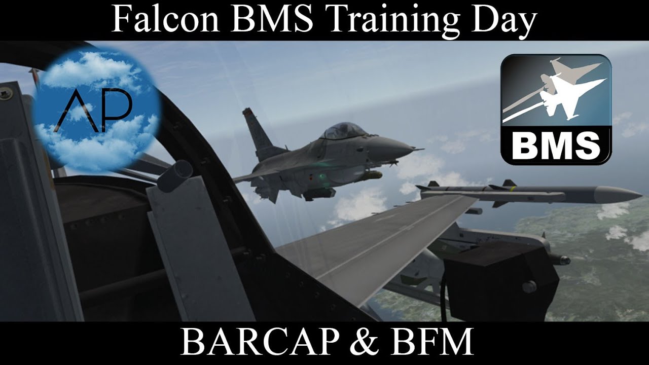 Falcon BMS - BARCAP & BFM Online Training Day - YouTube