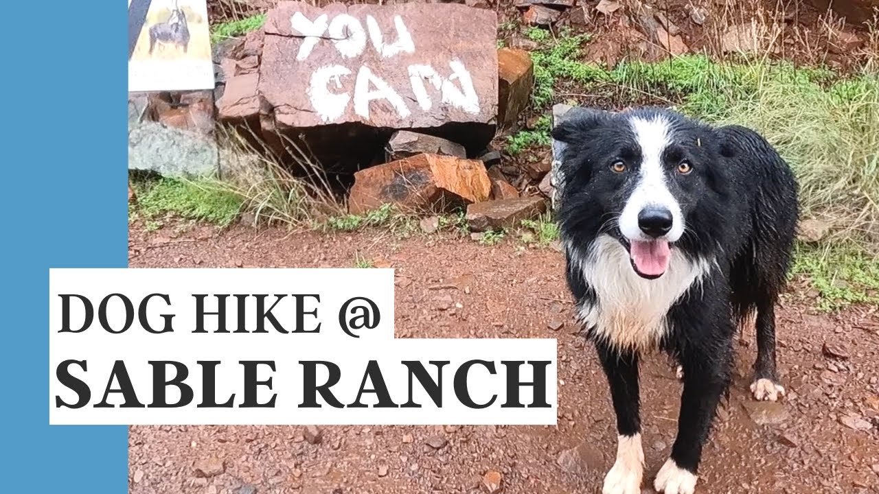 SABLE RANCH HIKING TRAIL | dog friendly hike - YouTube
