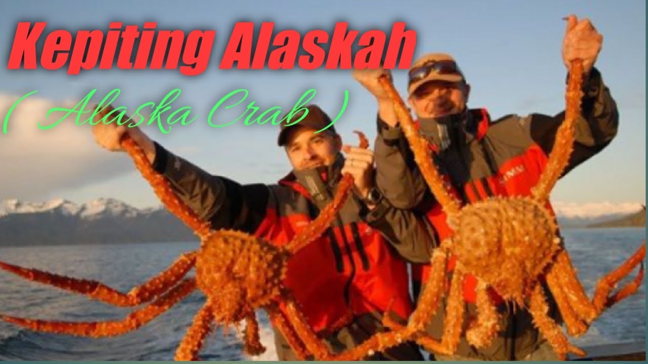 Berburu Kepiting Alaska di Kutub Utara#youtubevideos - YouTube