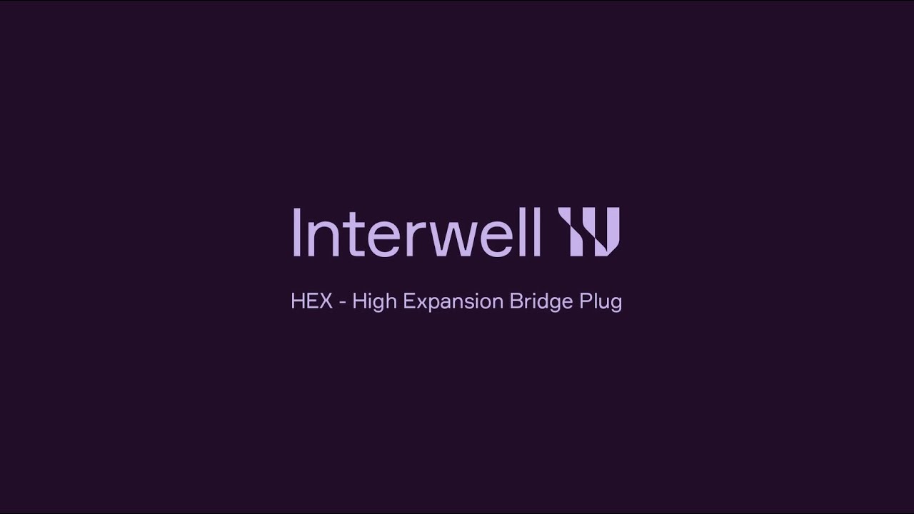 HEX High Expansion Retrievable Bridge Plug Animation - YouTube