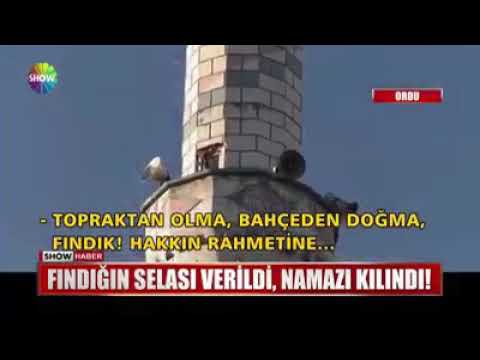 Dünyada bir ilk fındığın selası verildi.