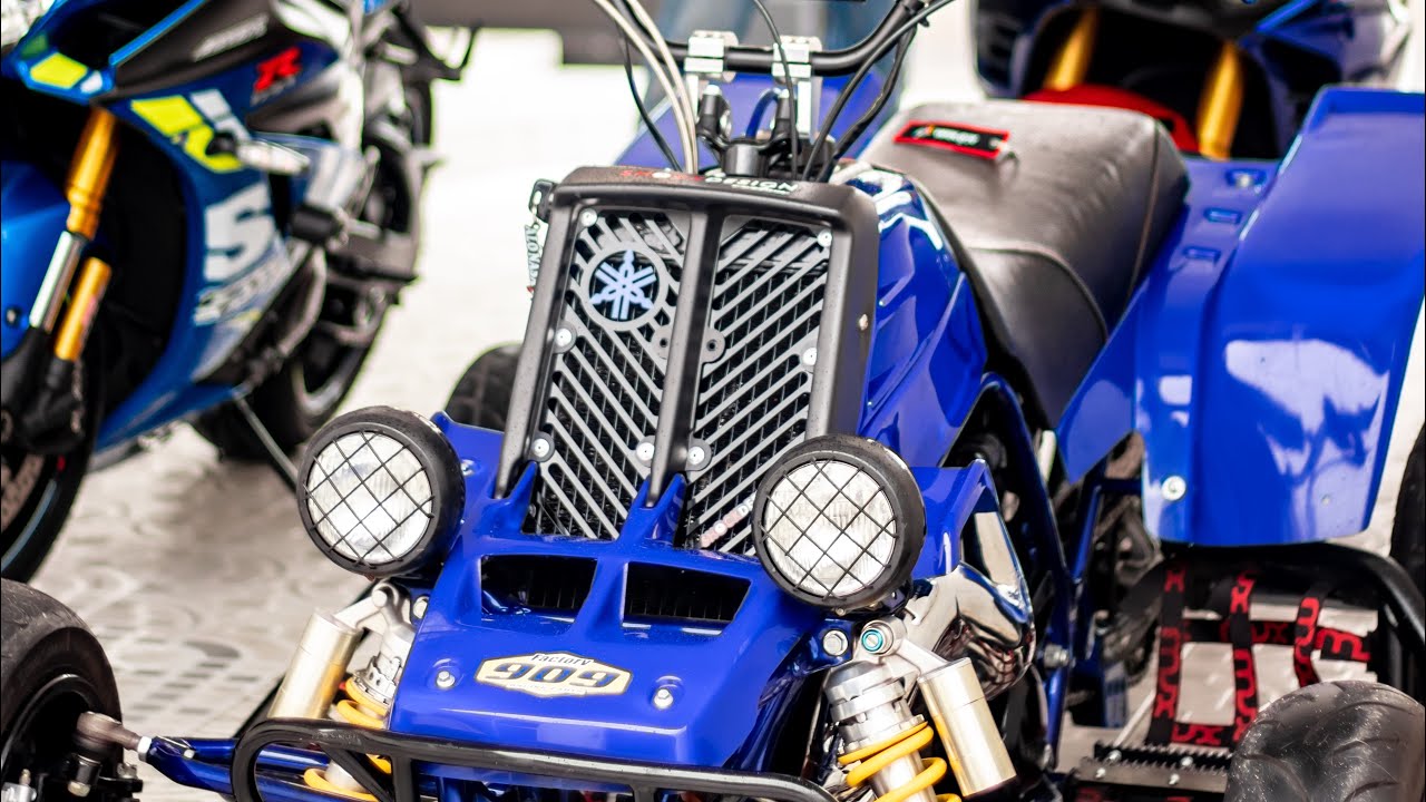 VOU VENDER A BANSHEE ?? | O QUE VIRÁ ?? - YouTube