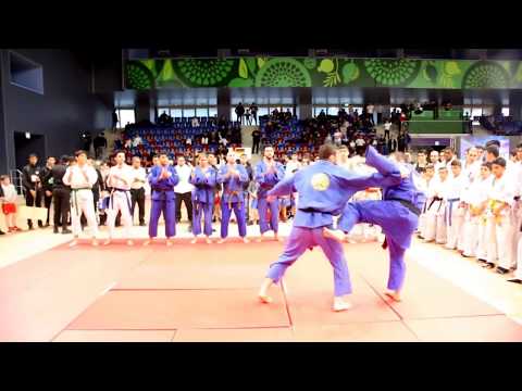REAL AIKIDO \