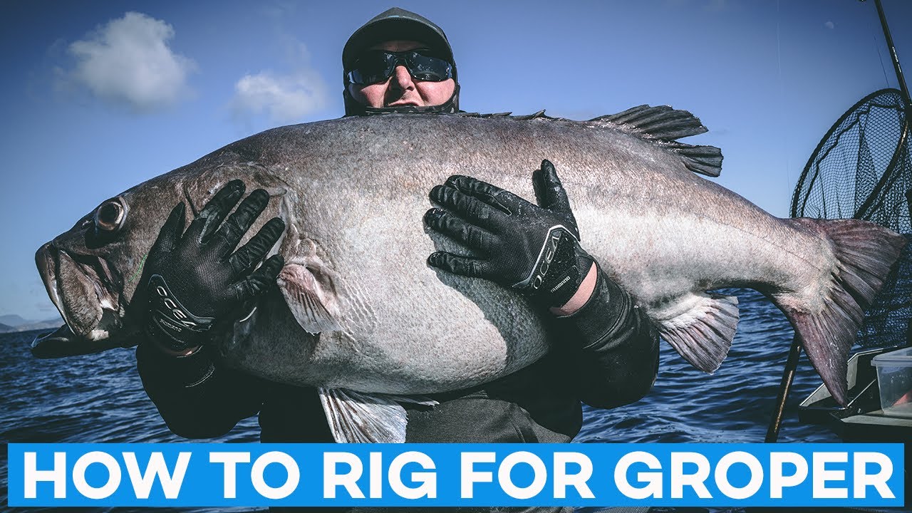 How To Rig for Groper - YouTube