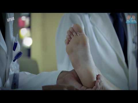 Aline Moraes Pezinhos - Viver a Vida