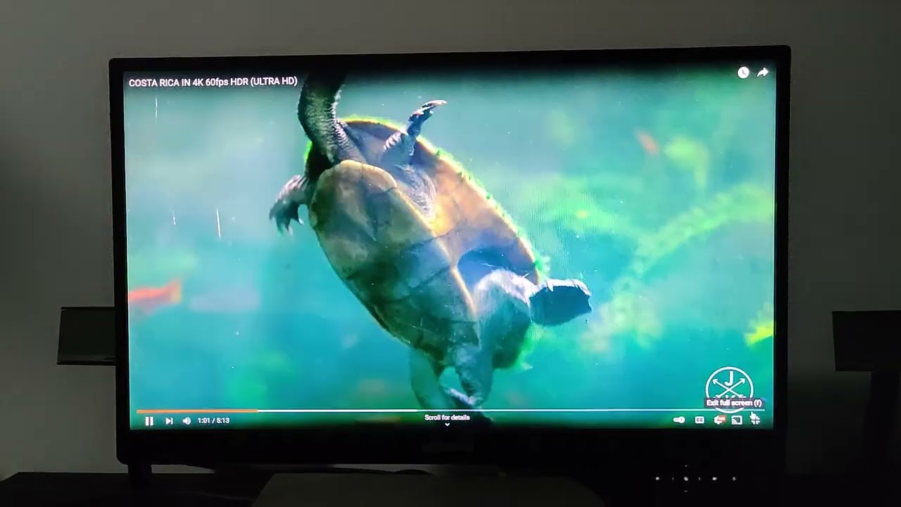 Samsung Syncmaster SA950 3D Monitor Image Quality Test - YouTube