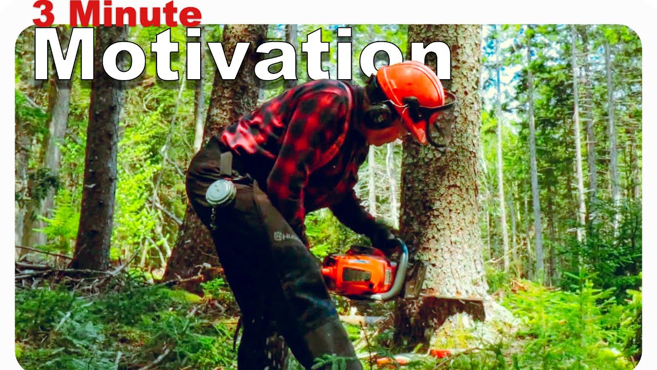 Fusing Our Fixation of Forest & Film (Motivational) - YouTube