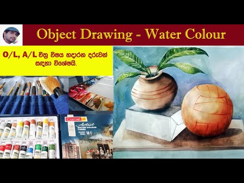 Object Drawing in Watercolor / Watercolor Still Life / ද්‍රව්‍ය බලා ...
