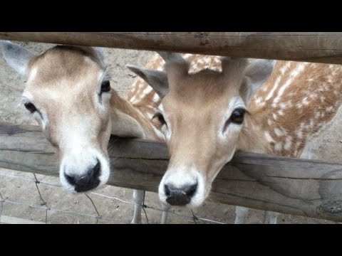 ʚ zihinsel ve bedensel iyileşme ɞ ₊˚✧