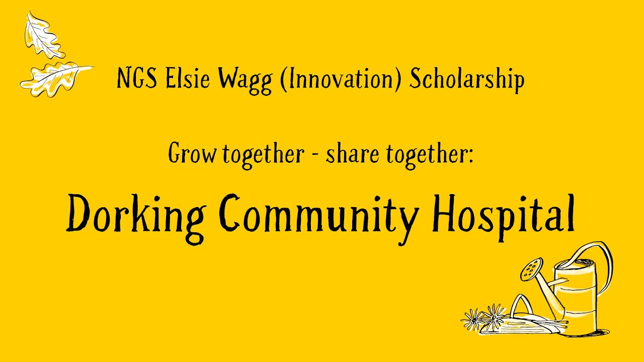 Dorking Community Hospital supported by NGS Elsie Wagg (Innovation ...