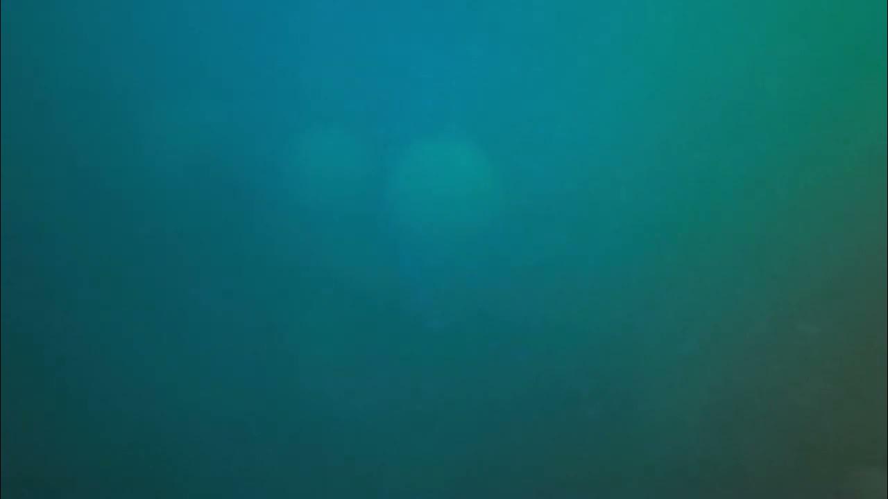 01 - Intro Pt. 1 (October 13, 2024) - YouTube