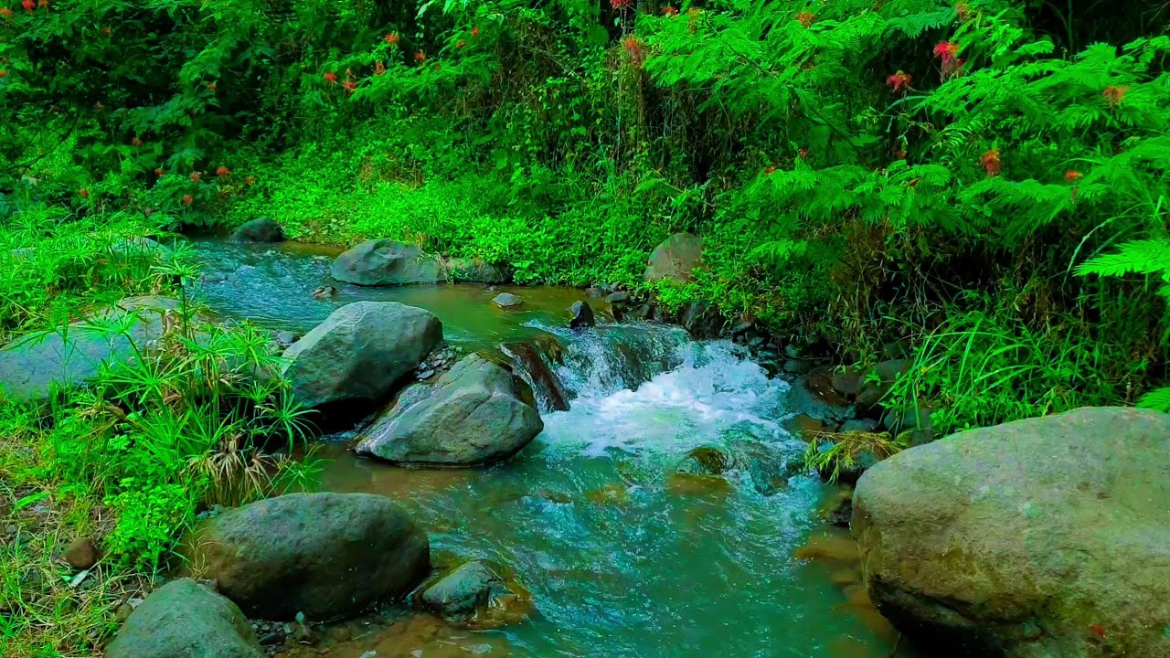 Mountain Stream, River Flowing, River Relaxation sounds to Relieve ...