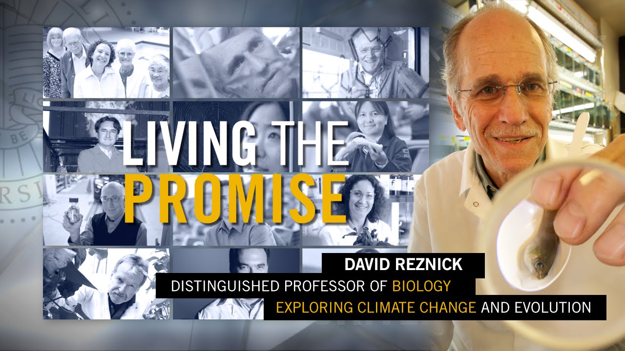 Living the Promise: David Reznick - YouTube
