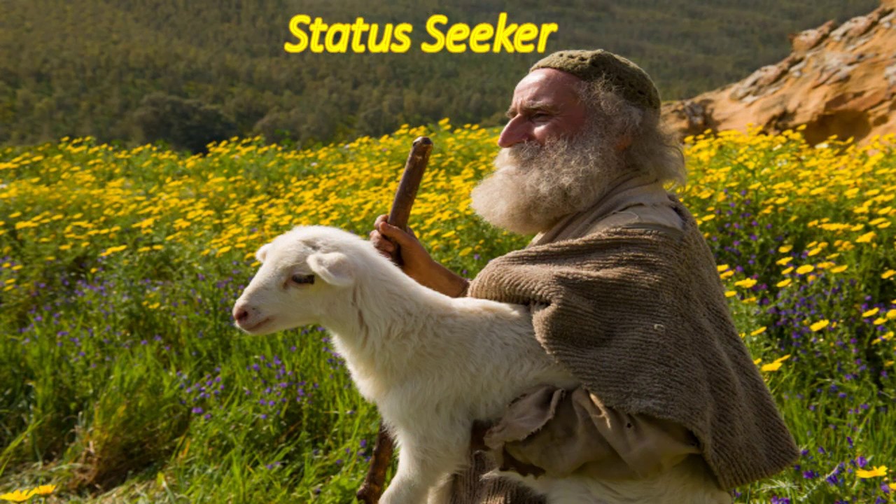 Status Seeker - YouTube