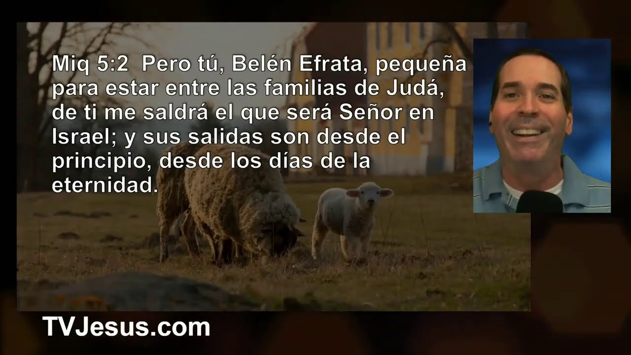 “jesus Vino Para Salvarnos De Nuestros Pecados Y Nacer De Una Virgin