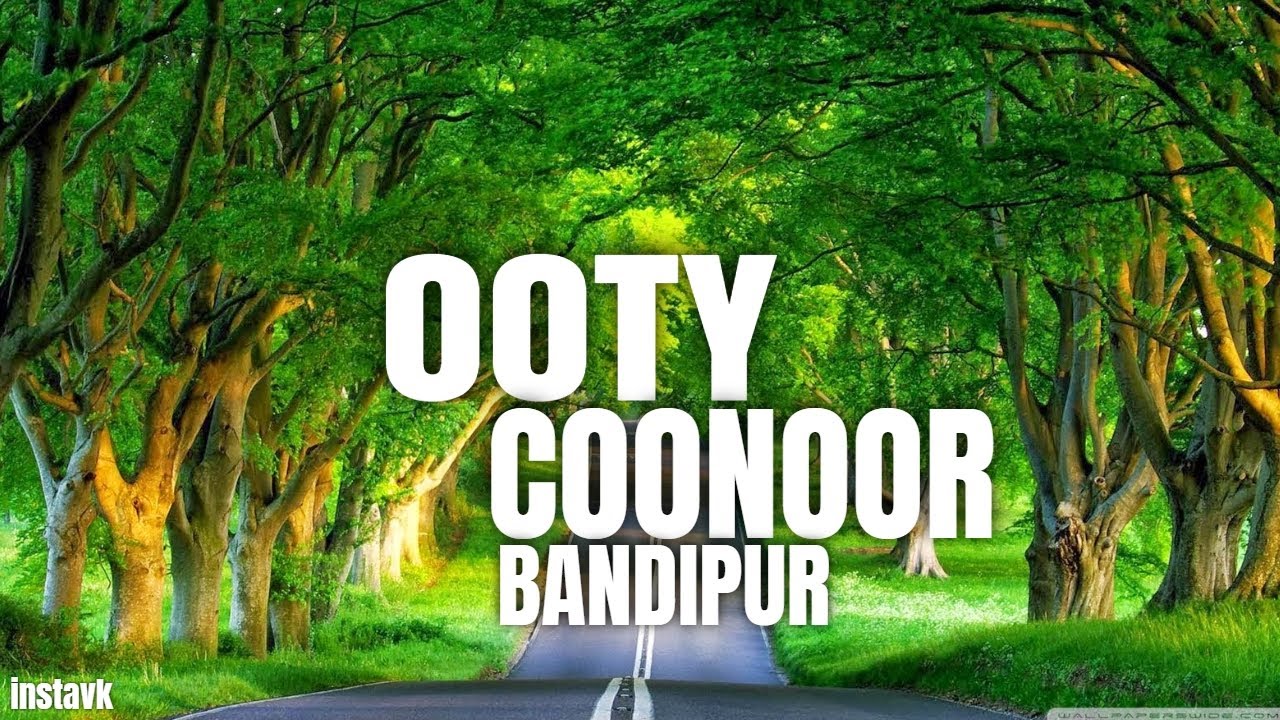 Bike Ride through Forest and Clouds | Ooty to Coonoor | Dolphins Nose ...
