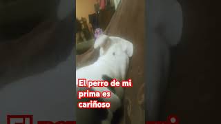 perdón por no estar 288484 años 😿