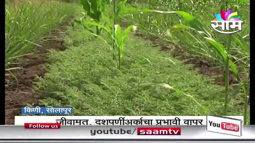 Pramod Hanjgi's natural harbara farming success story - YouTube