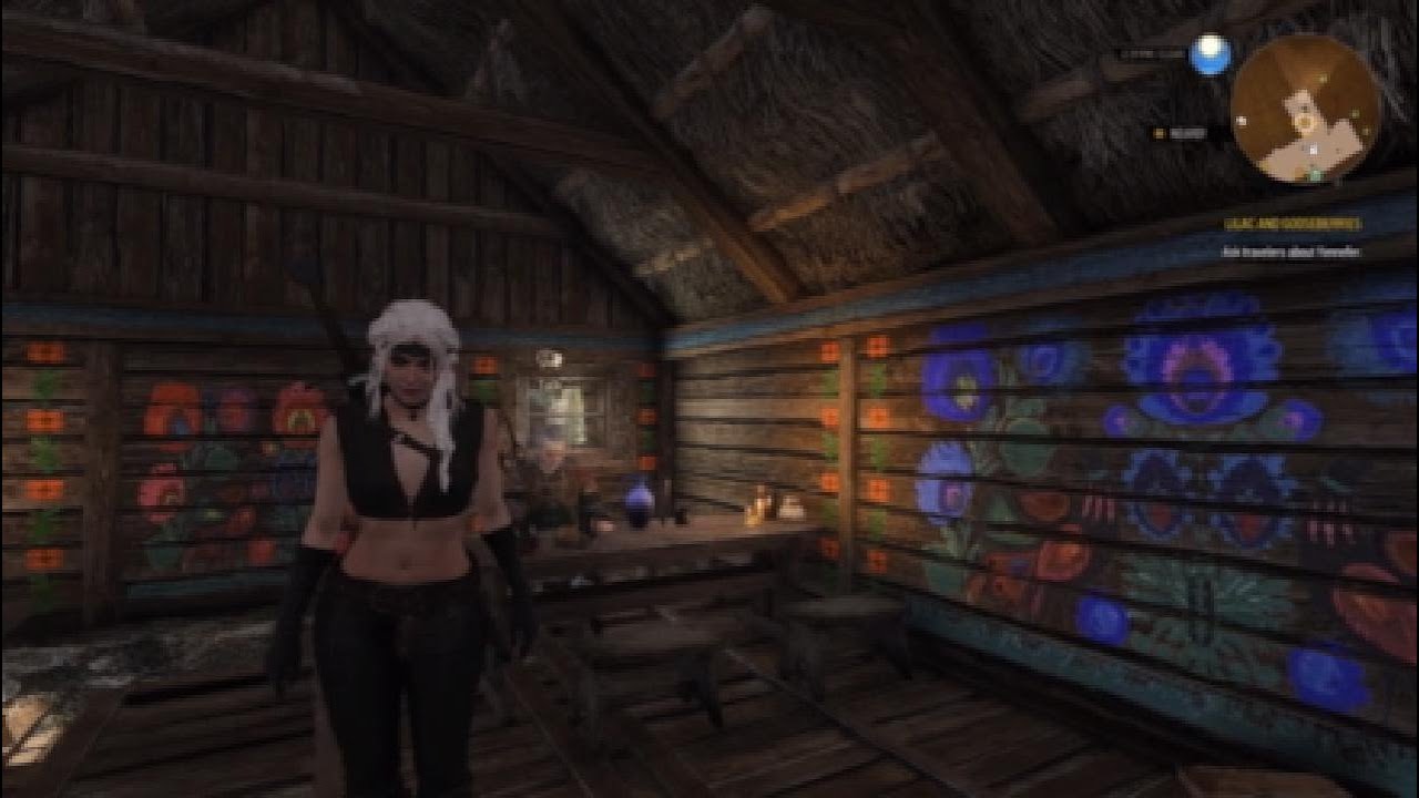 TW3 - custom player characters mod is amazing - YouTube