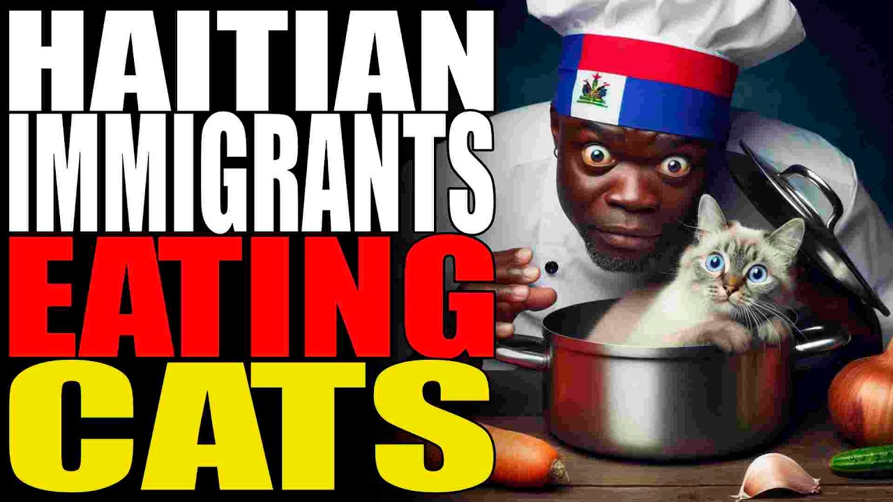 Haitian immigrants are eating cats?!?!? - YouTube