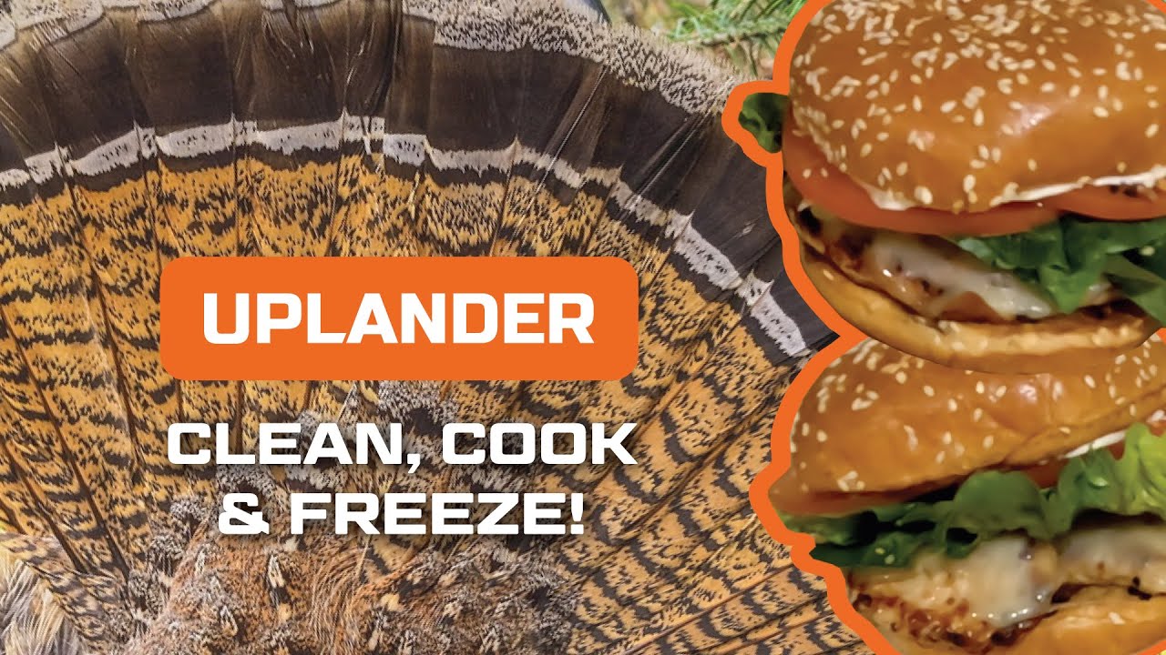 Clean, Cook and Freeze Upland Game Birds! (Ruffed Grouse, Easy Recipe ...