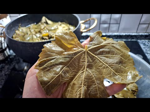 Çok Kötü Kart ve Sert Salamura Yaprak Nasıl Yumuşar ,Neler Yapılabilir Tüm Detaylarıyla