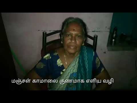 மஞ்சள் காமாலை குணமாக எளிய வழி-Explain Tamil Patti - YouTube