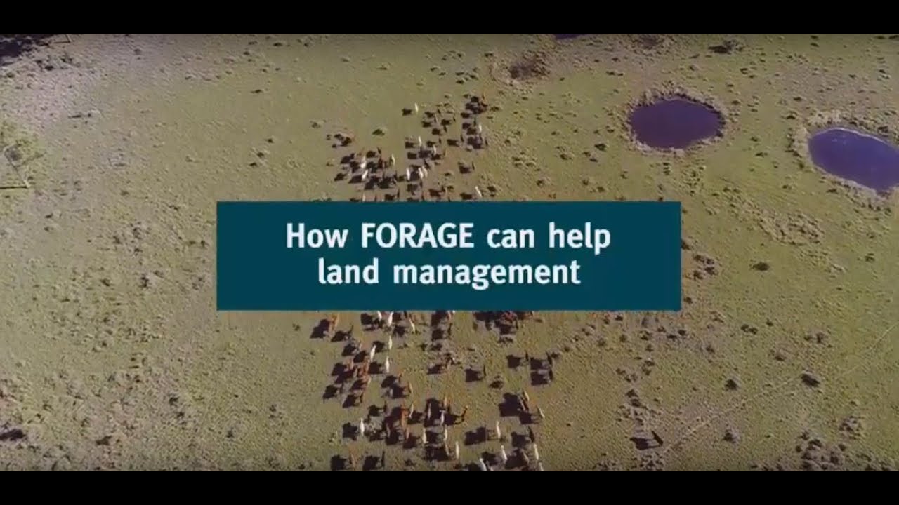 How FORAGE can help land management. - YouTube