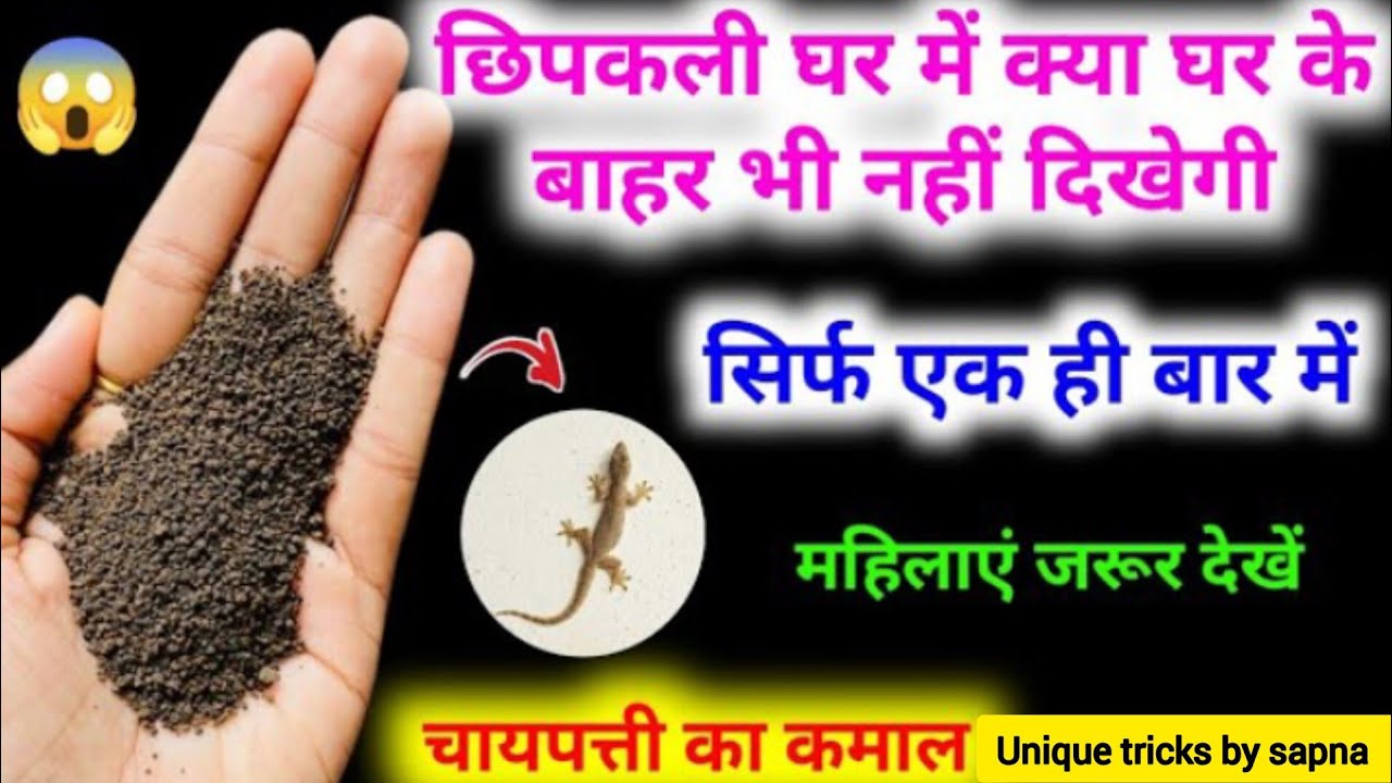 5 साल तक छिपकली नहीं दिखेगी घर में असरदार तरीका😱 kitchen tips ...
