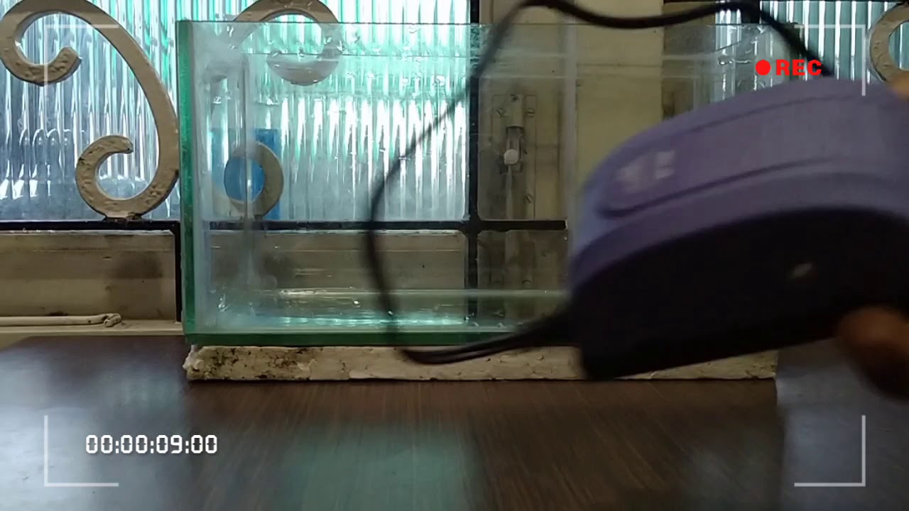 abc fish tank setup - YouTube