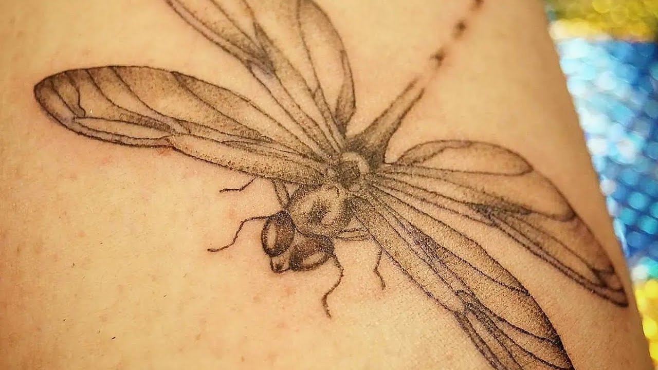 Forearm Dragonfly Tattoo Kellys Ink Tattoo Time - YouTube