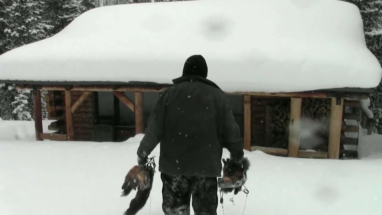 WYOMING MARTEN TRAPPING E2 - YouTube