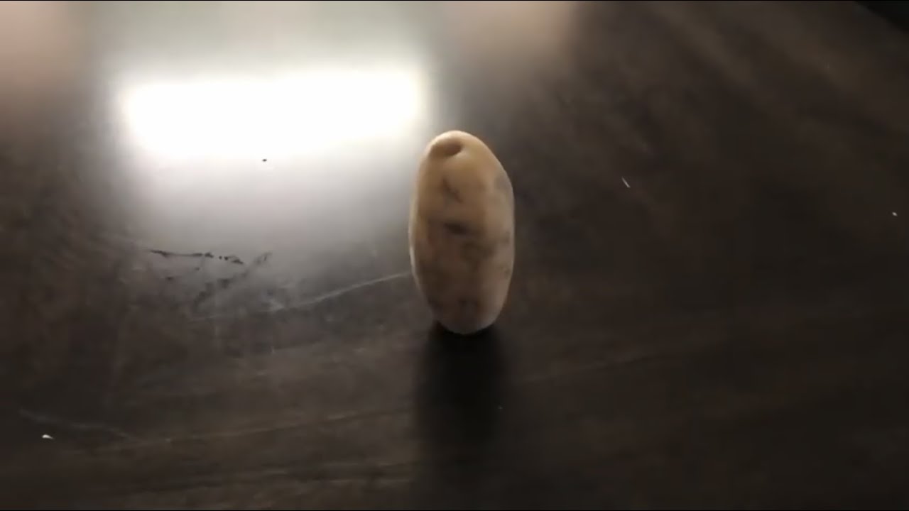Potato Falling over - YouTube
