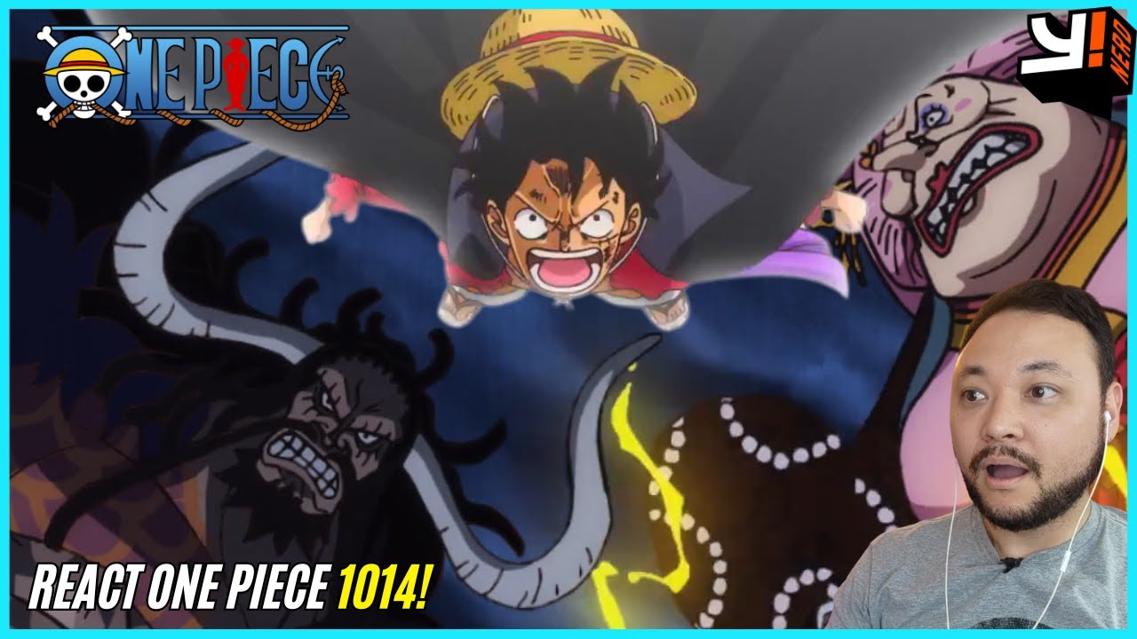 LUFFY E ZORO CHEGARAM ONDE KAIDO ESTÁ! REACT DE ONE PIECE EP 1014 ...
