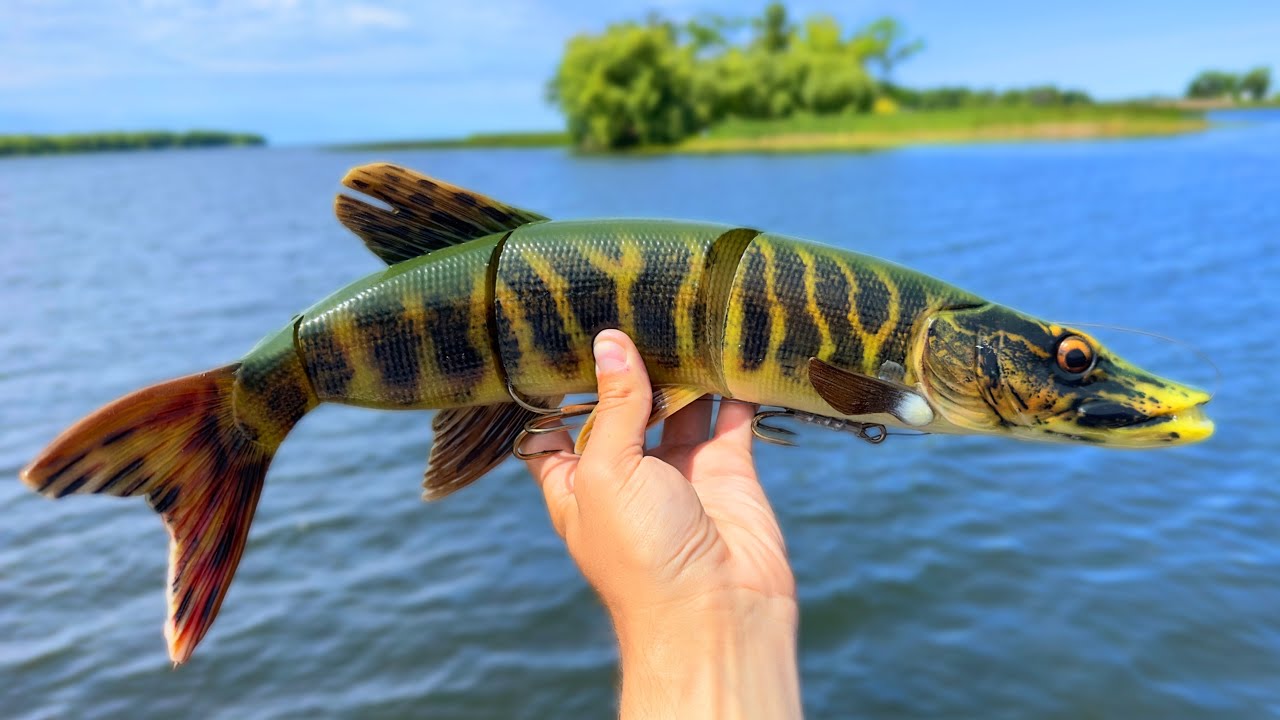 Fishing a GIANT PIKE SWIMBAIT for MUSKY! - YouTube