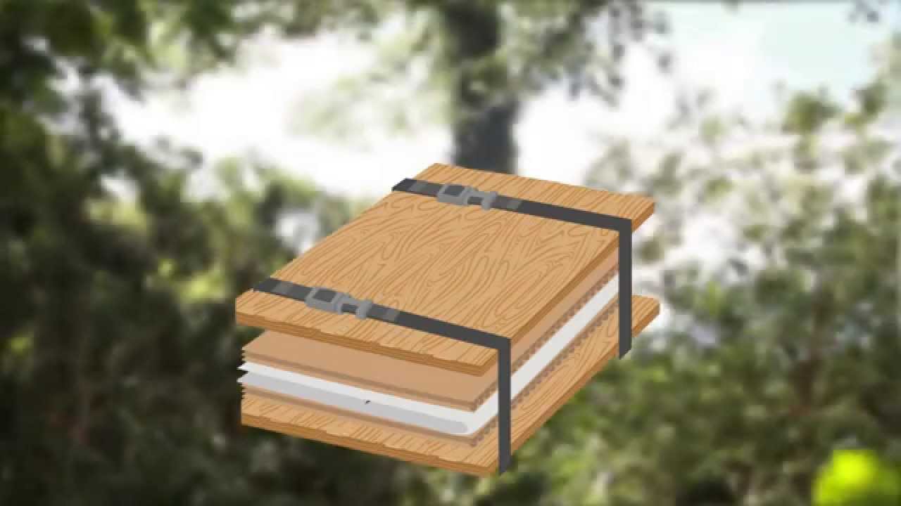 Episode 2 - Tools and Materials for Plant Collection - YouTube