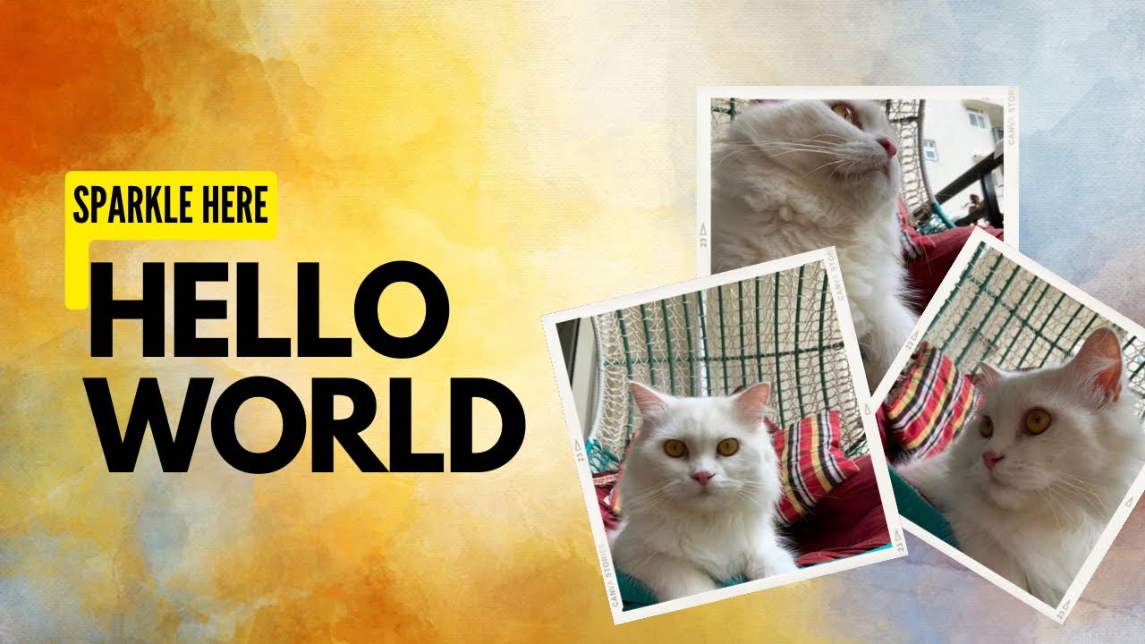 Sparkle-the cat’s hello to world and some fun facts - YouTube