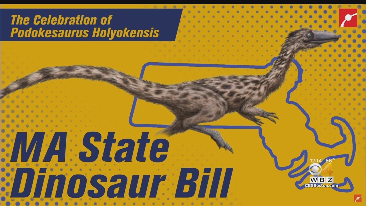 Massachusetts now has an official dinosaur - the podokesaurus ...