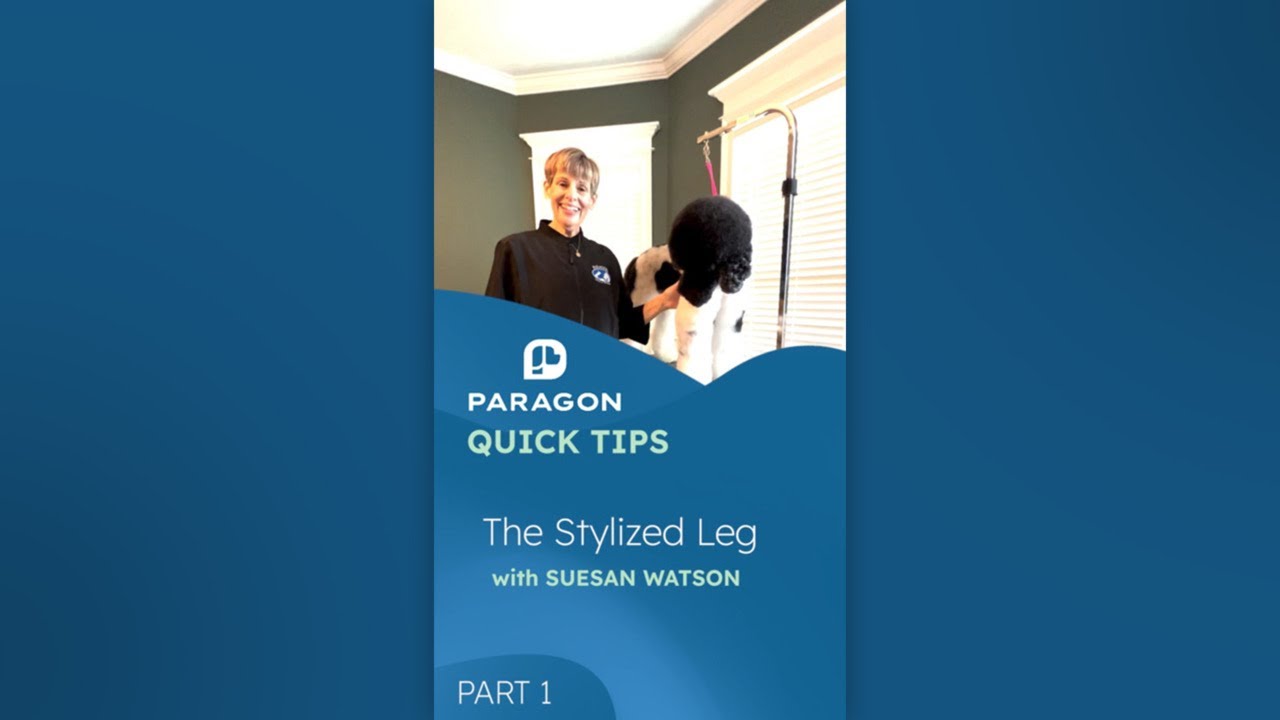 Quick Tips: The Stylized Leg with Suesan Watson - Part 1 - YouTube