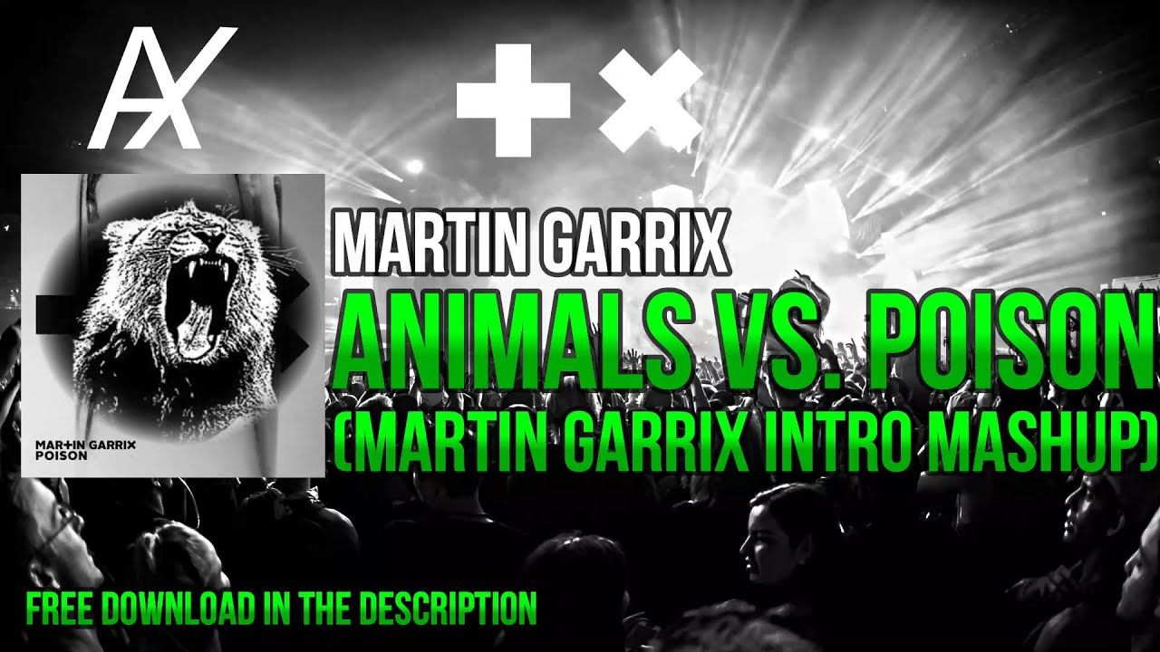 Martin Garrix - Animals vs. Poison (Martin Garrix Intro Mashup ...