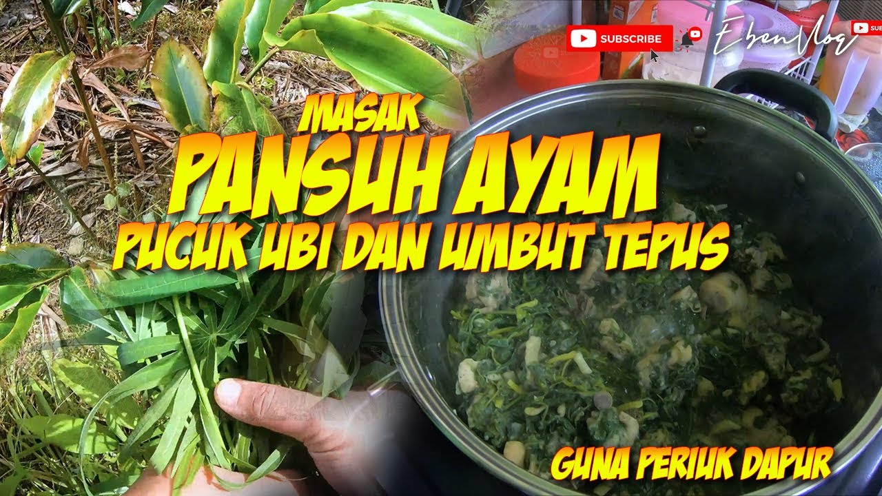 Masak Pansuh Ayam Umbut Tepus | Cooking Chicken Pansuh with Tepus Pulp ...