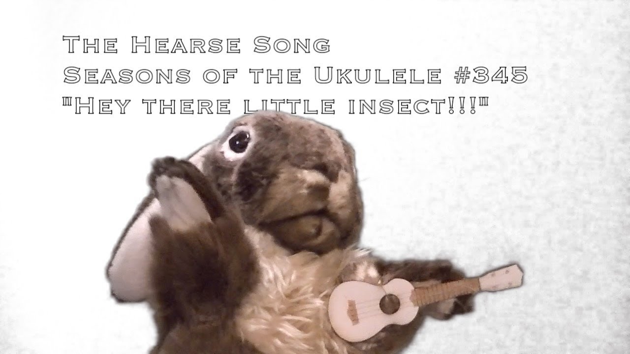 Hearse Song (Ukulele Cover) - YouTube