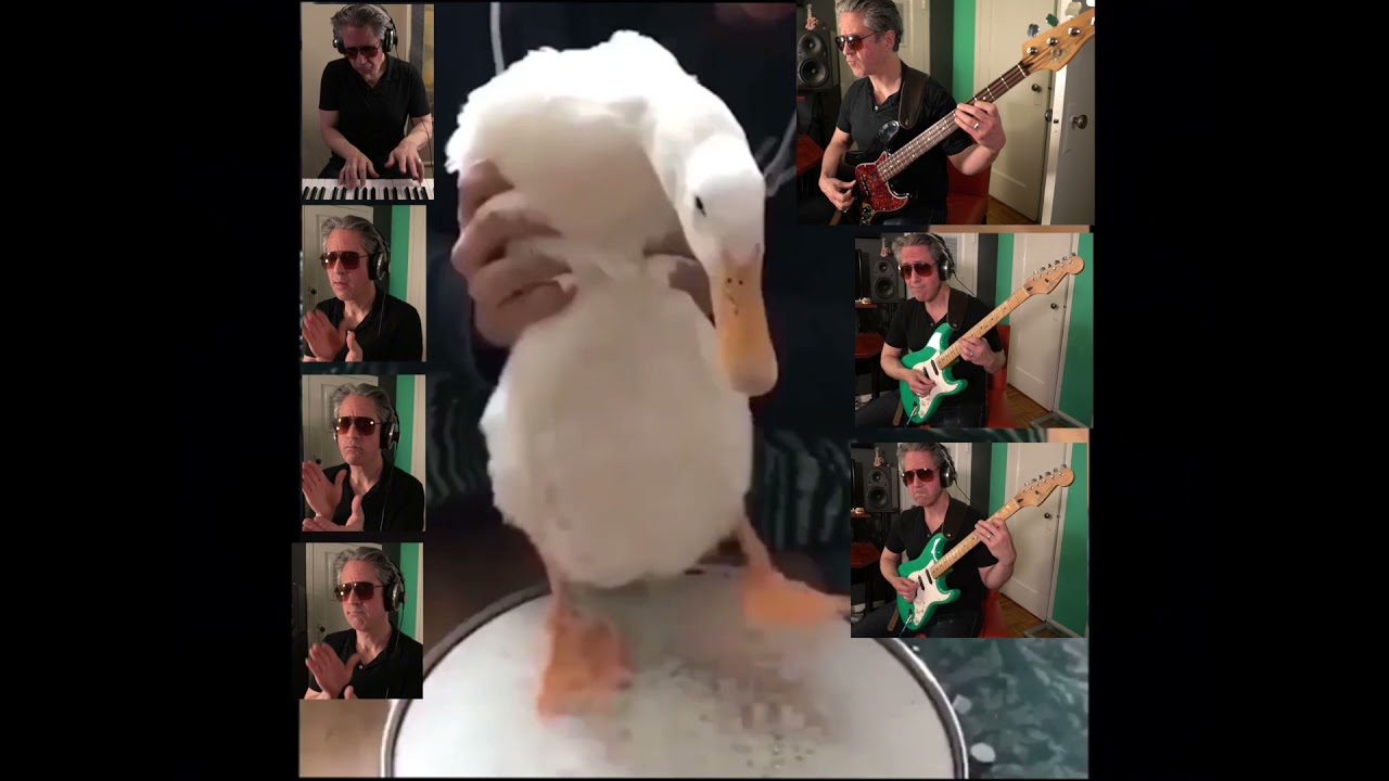 Funky Duck Plays Drums (With Me) - YouTube