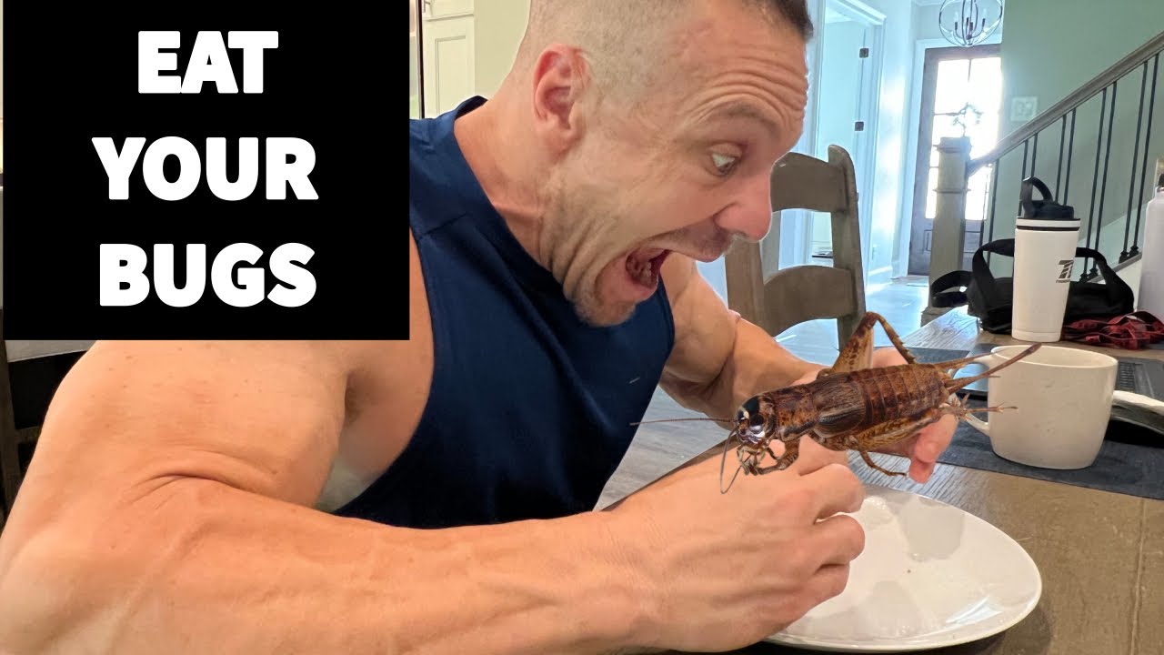Why YOU Should Eat Bug Protein! - YouTube