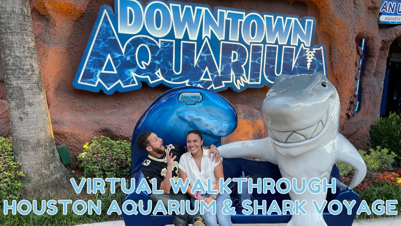 Downton Aquarium Houston | Review | Tour | Shark Voyage Train Full Ride ...